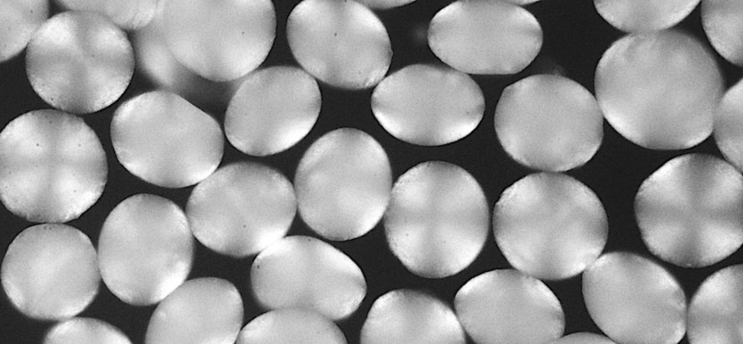 MIT Researchers Develop Hydrogel Platform for Administering Lifesaving ...