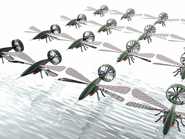 Using Drones to Fight Mosquitos — Innovations in Vector Ecology – EDI ...