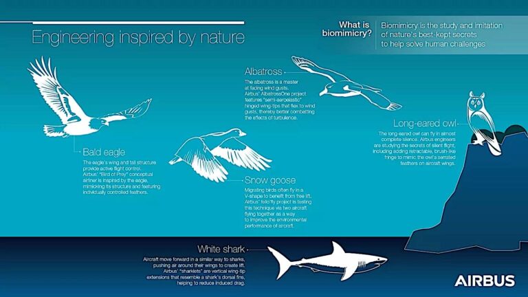 Ten Bio-inspired Aerospace Innovations: Based on Biomimicry of Insects ...