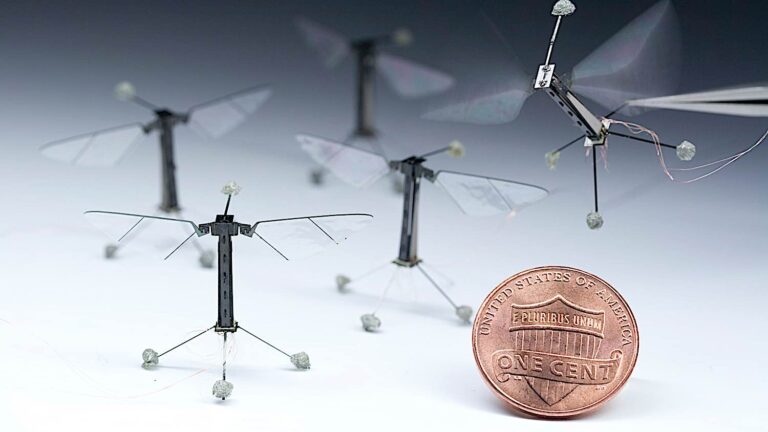 Ten Bio-inspired Aerospace Innovations: Based on Biomimicry of Insects ...