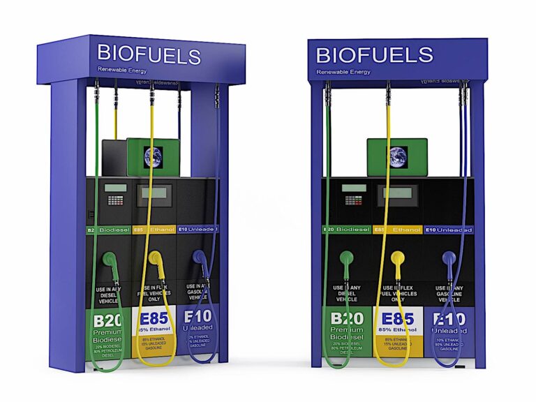 Emerging Trends in Biofuels: A Game Changer for the Energy Sector – EDI ...